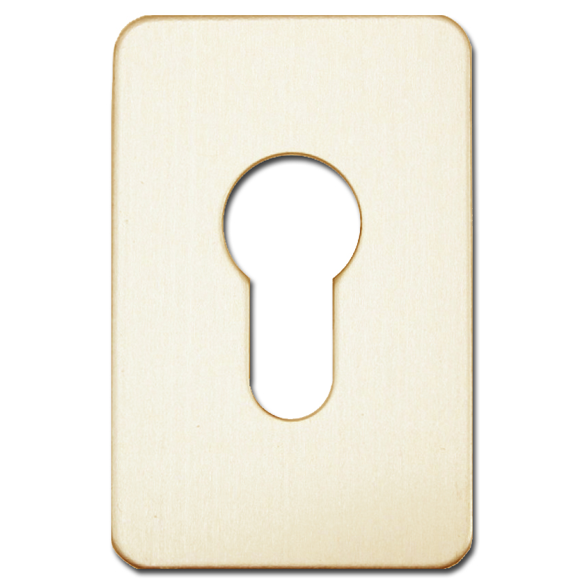 ASEC Self Adhesive 45mm x 70mm Euro Escutcheon - AS10564